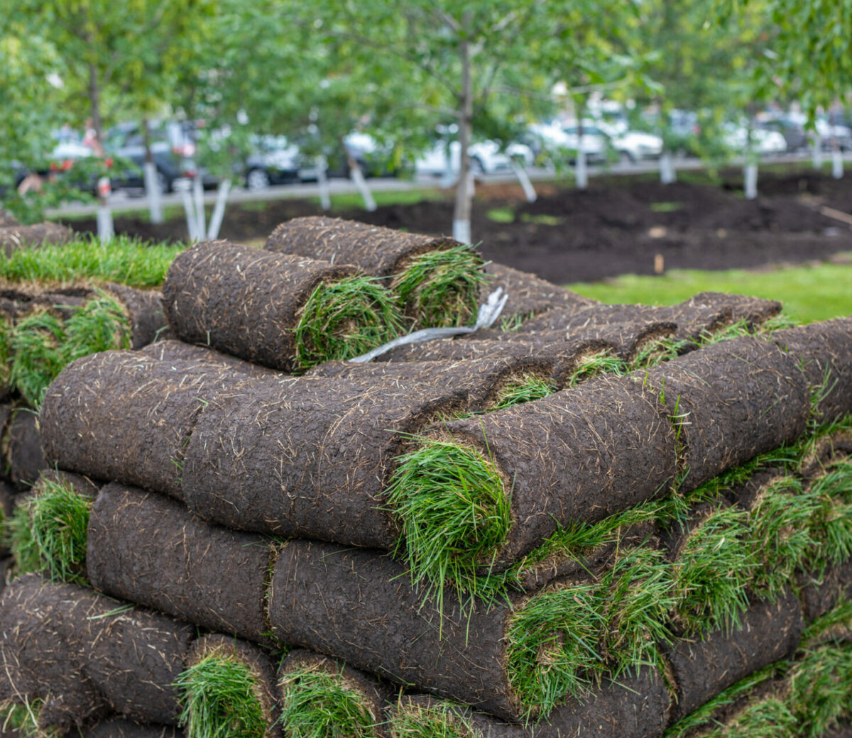 Sod in Berkeley County, WV - Lochland