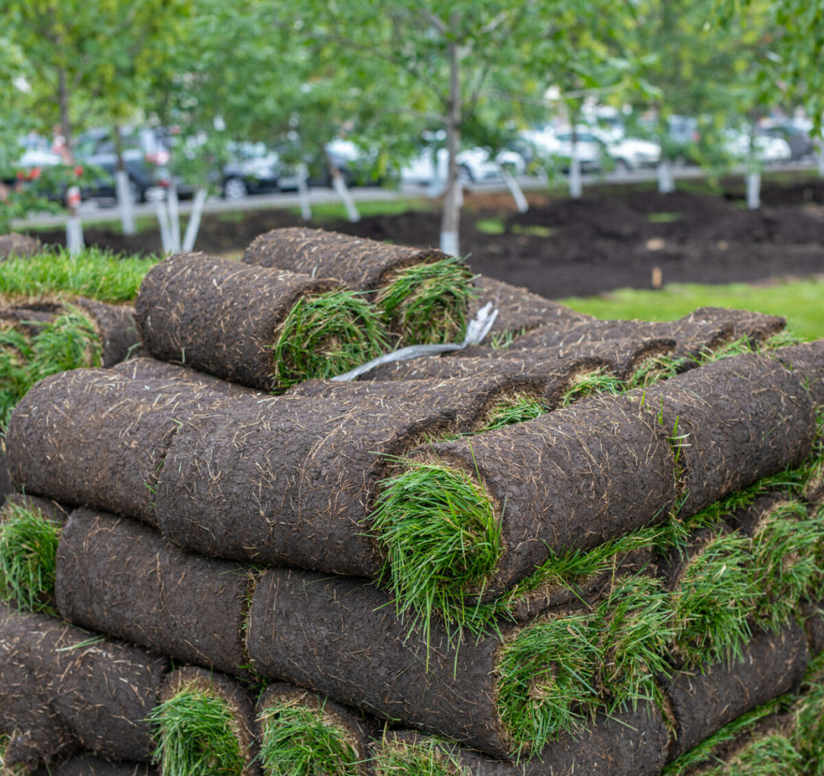 Sod in Adams County, PA - Lochland AG & Turf