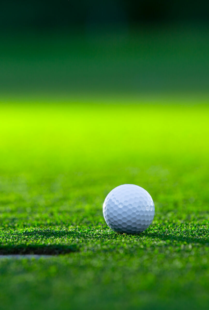 Sodd Supplier / Sod Farm near Frederick MD - Lochland AG & Turf